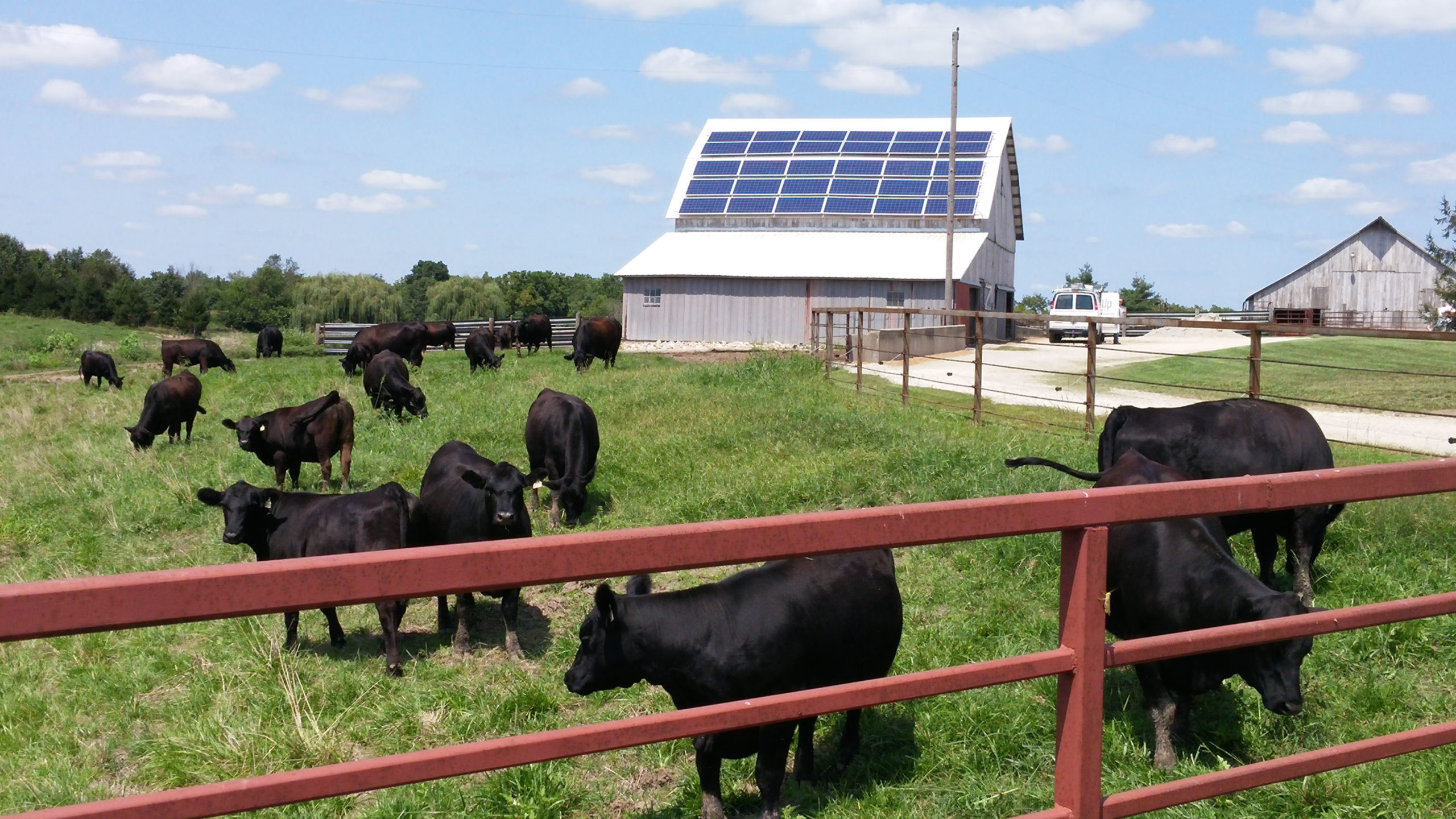 Solar Made Sense to Energy Savvy Agribusiness