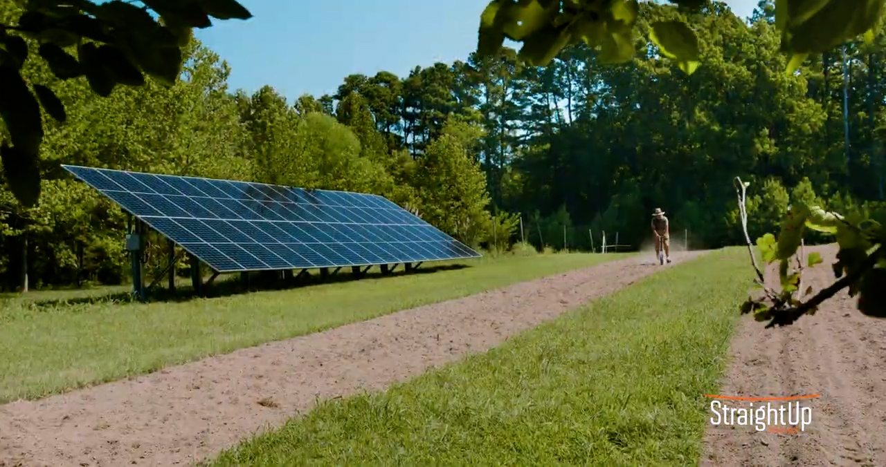 Mulberry Hill Farm Grows With the Sun | StraightUp Solar